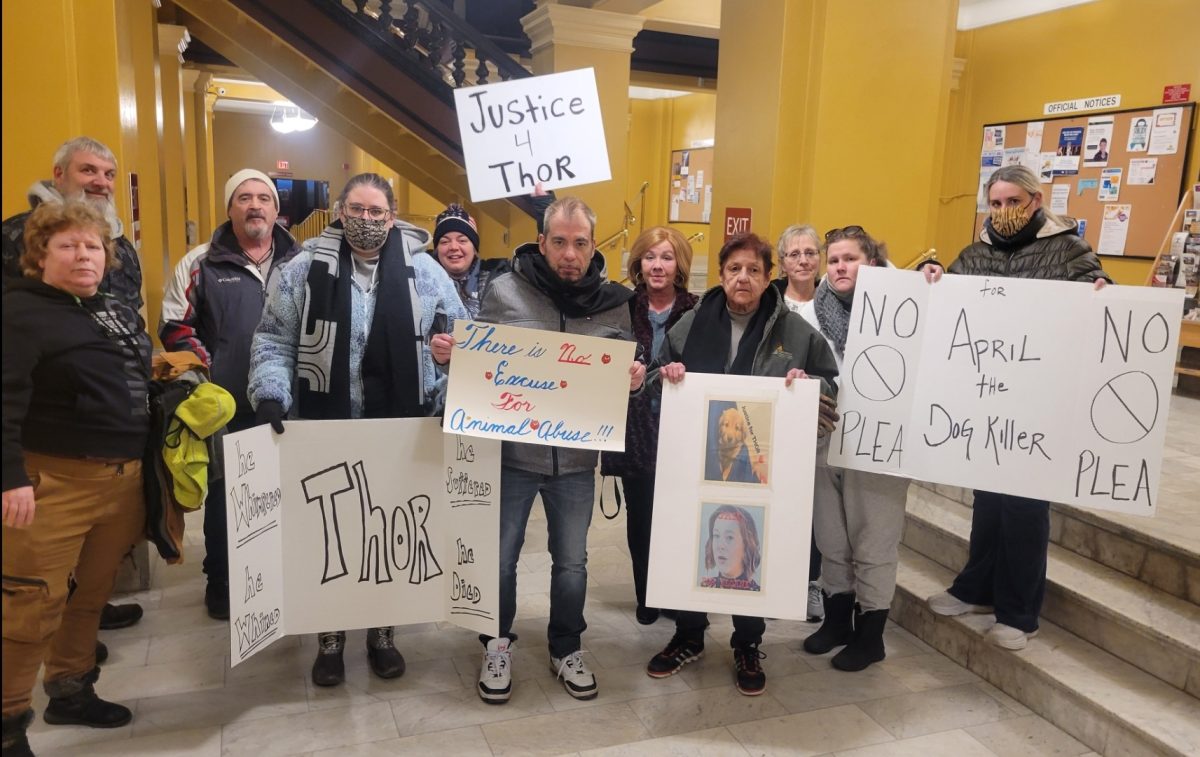 Sloane waives hearing on felony animal abuse charges in dog’s death ...